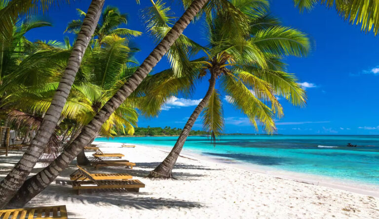 Mooiste Stranden met Palmbomen ter Wereld